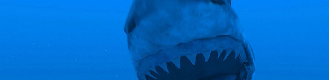 Super Shark Sarah Lieving