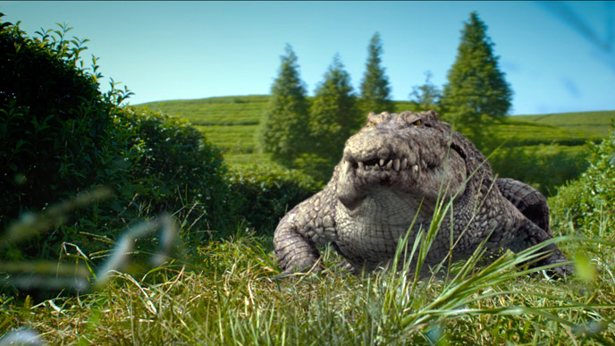 Stills from Million Dollar Crocodile - Lisheng Lin (2012) - page #1