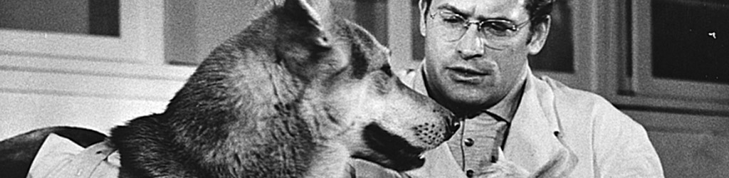 Movie posters from Moonwolf - Georges Friedland (1959) - page #1